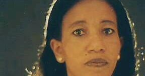 Meadi - መኣዲ: VOA interview with the author Memhr Adiam Ghebrehewot