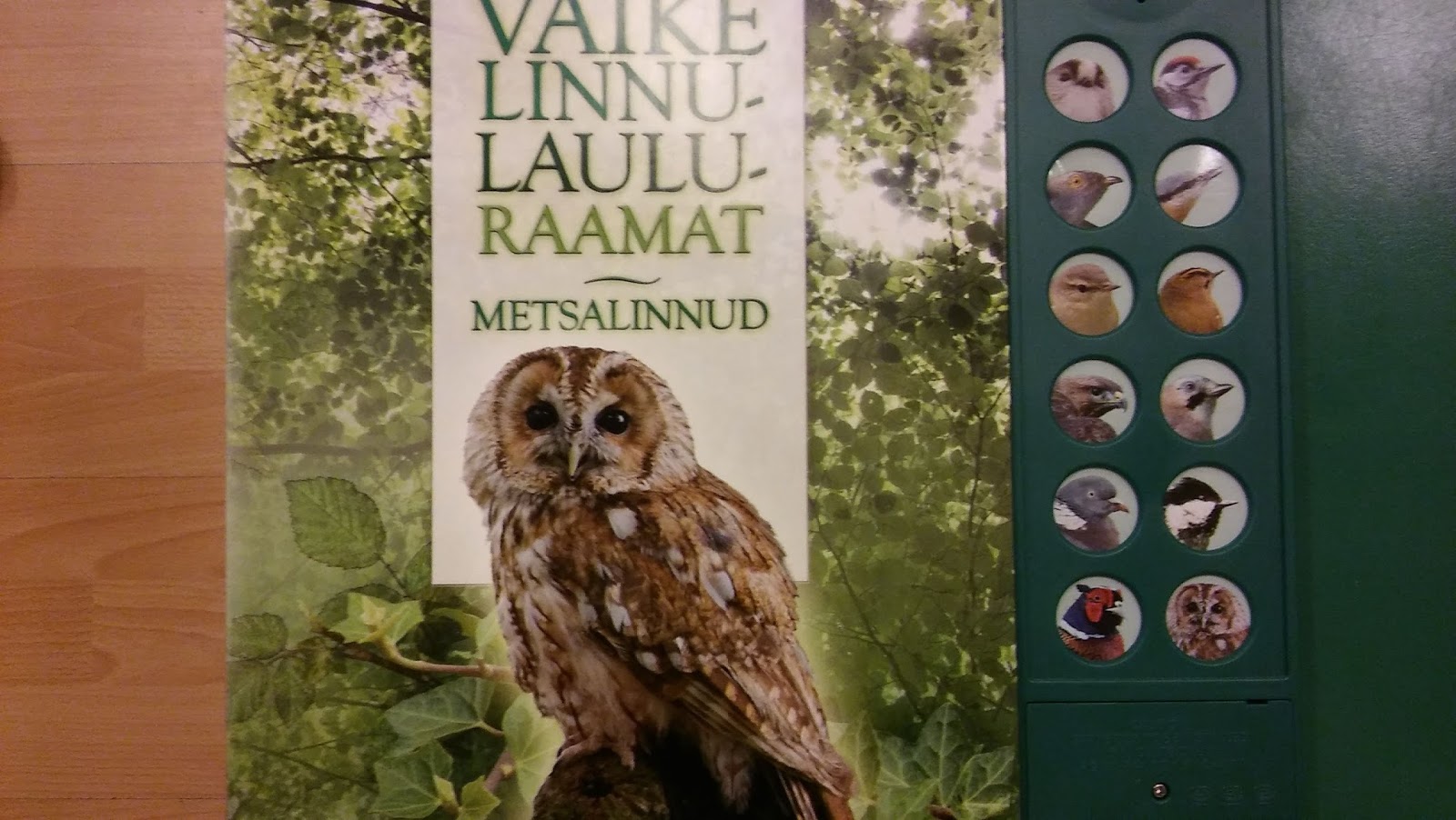 Roheline Kool Eestis Tallinna Tuule Lasteaed: Linnud, linnud, linnud