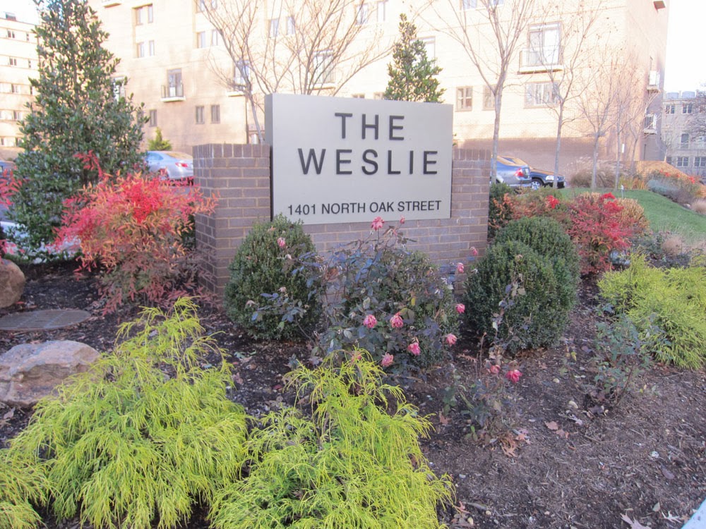 Ode Street Tribune: January 2014