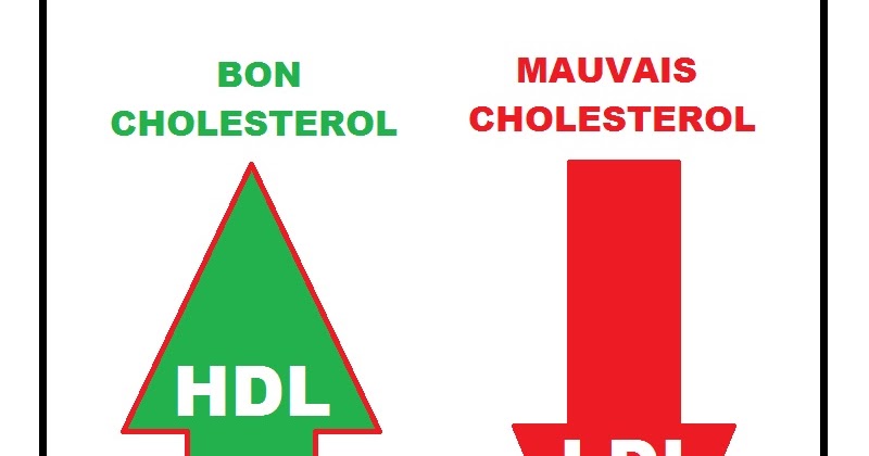 Le mauvais et le Bon cholestérol ~ Sport et Santé