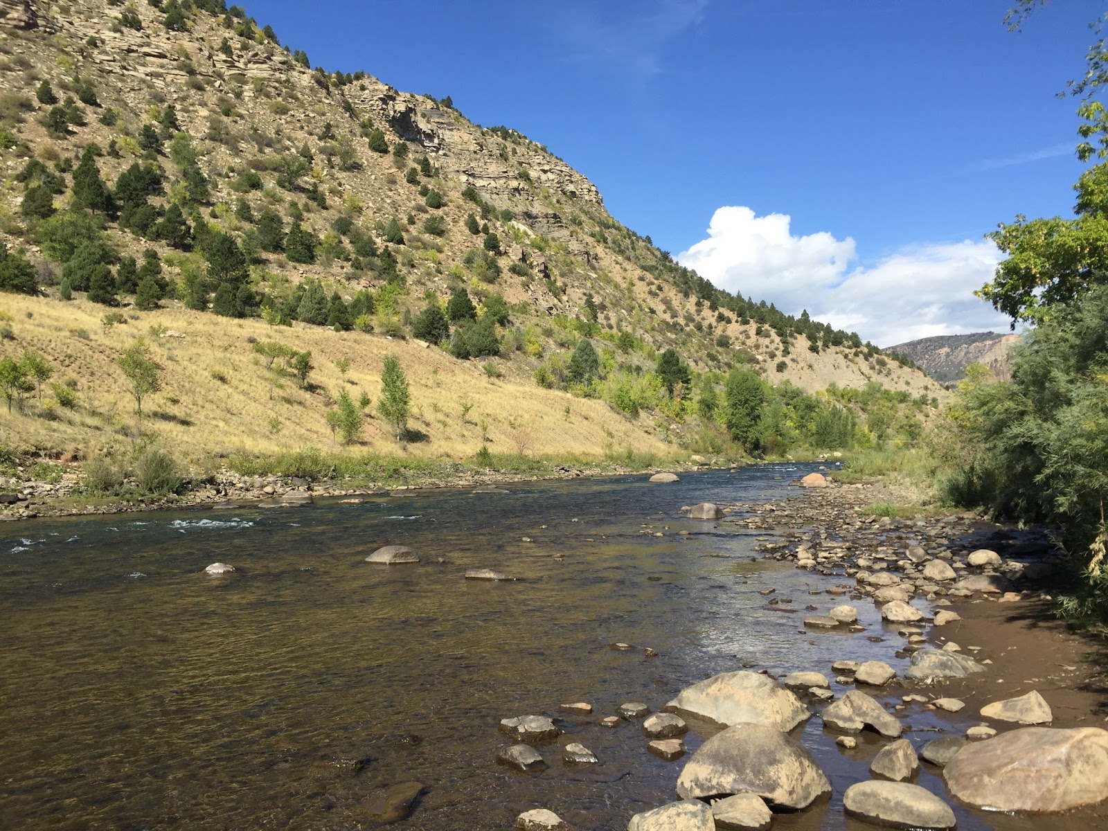 Ravine Ravings: 2017