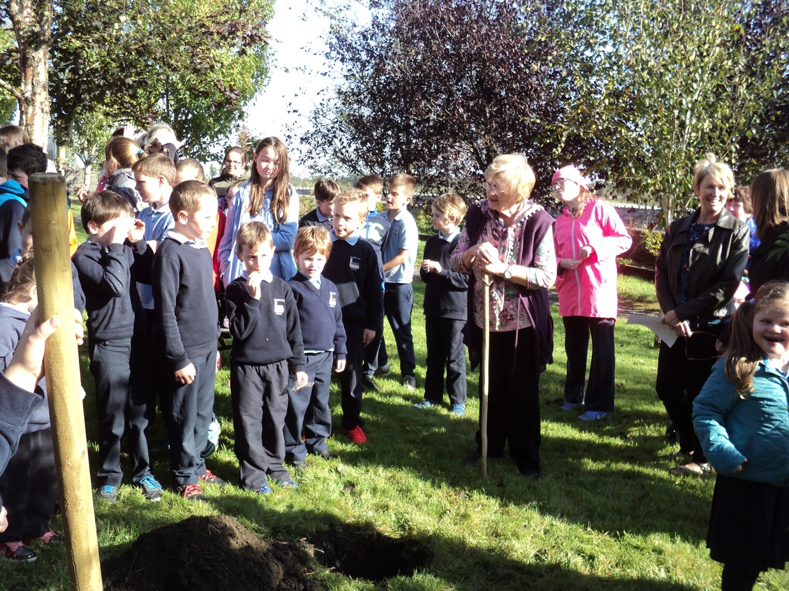 Creggs National School: GREEN SCHOOLS