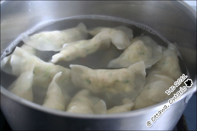 Heavenly Palate: [Pot sticker-dumpling] Easy Dumpling with leftover turkey