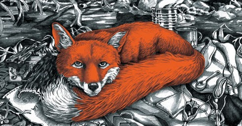 Kids' Book Review: Review: Fog a Dox