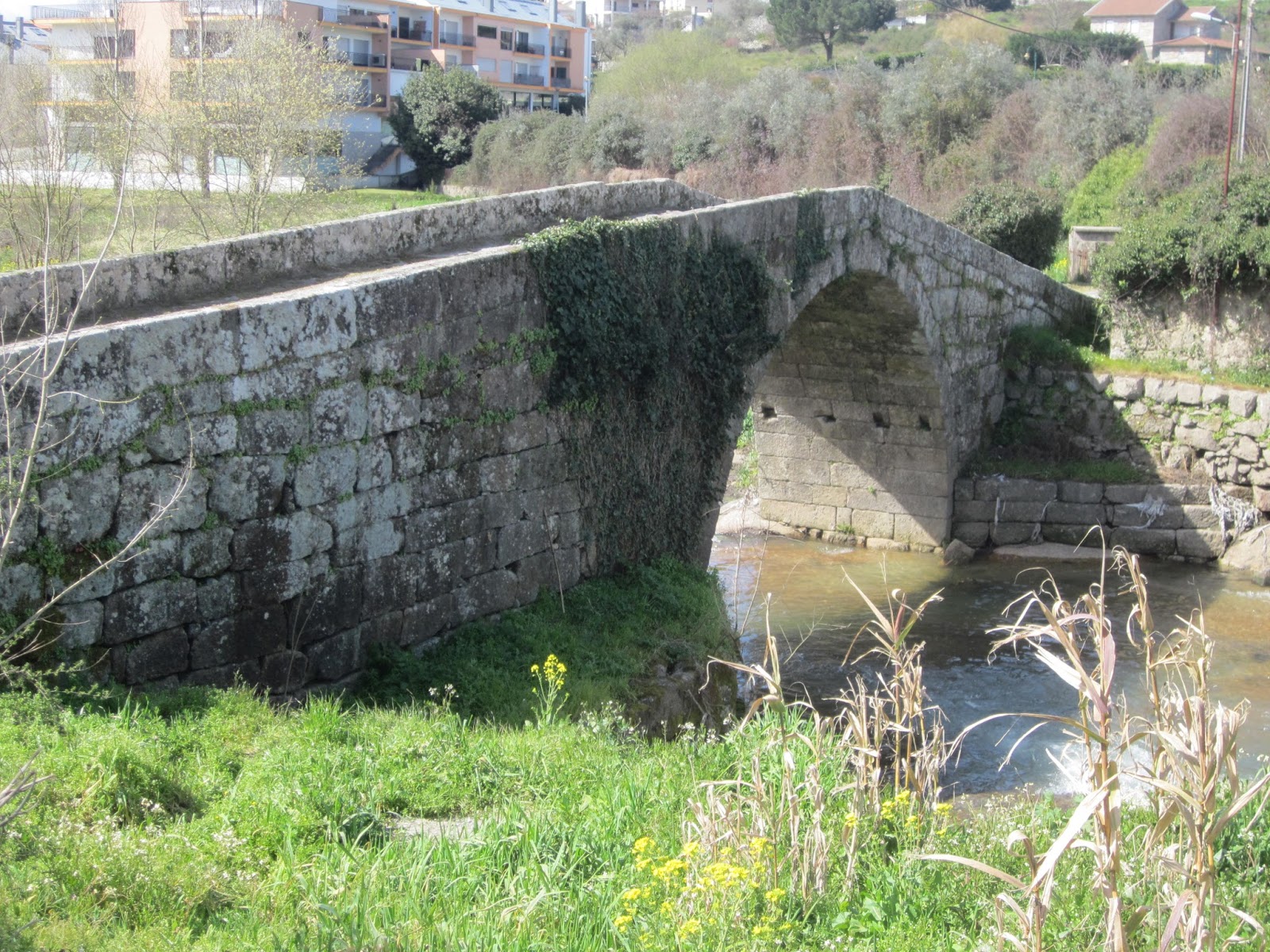LVSITÂNIA EM IMAGENS: DISTRITO DE VISEU
