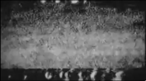 InfinitaMente Aleatorio: ¿Conoces a Sadako/Samara? /// RINGU/THE RING