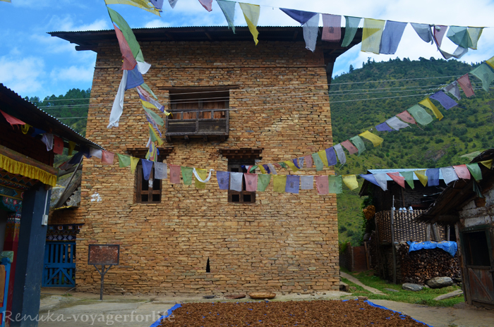 Get Mesmerised By The Monpas - Voyager For Life