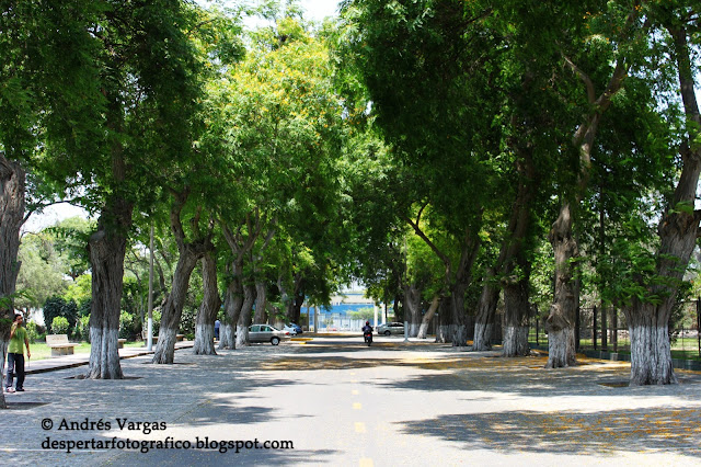 DESPERTAR FOTOGRÁFICO: Un día en la UNALM // One day at UNALM