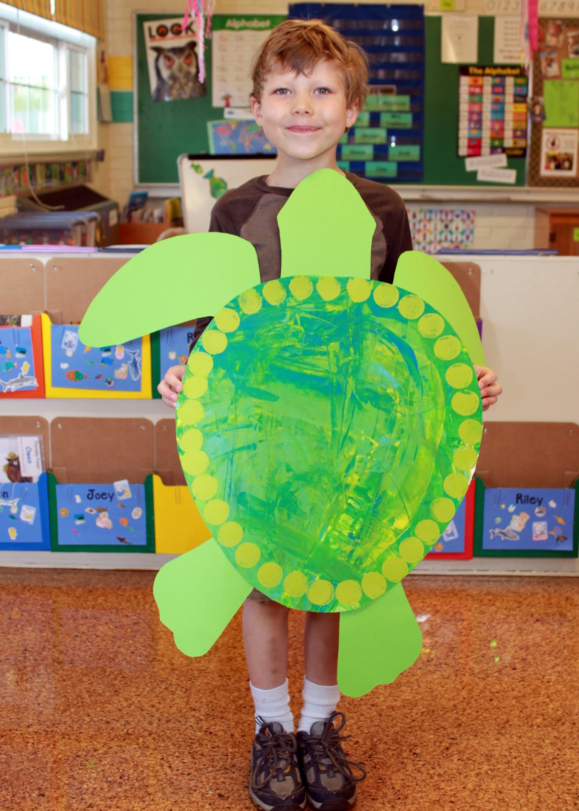 Cove Kindergarten: SEA TURTLES