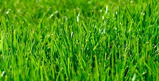 El Club del Haiku: septiembre 2013