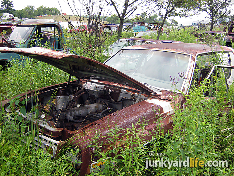 Junkyard Life: Classic Cars, Muscle Cars, Barn finds, Hot rods and part ...