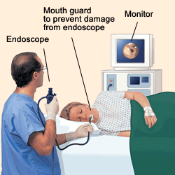 Dad To 2: The Last Test -- The Dreaded EGD