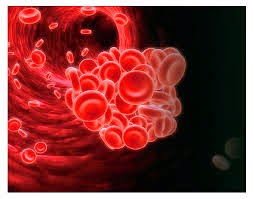 Pacientex: Poliglobulia o Policitemia