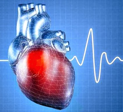 El corazón y el ejercicio: ¿cómo hacer ejercicio mejora la salud del ...