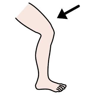 LAS PARTES DEL CUERPO