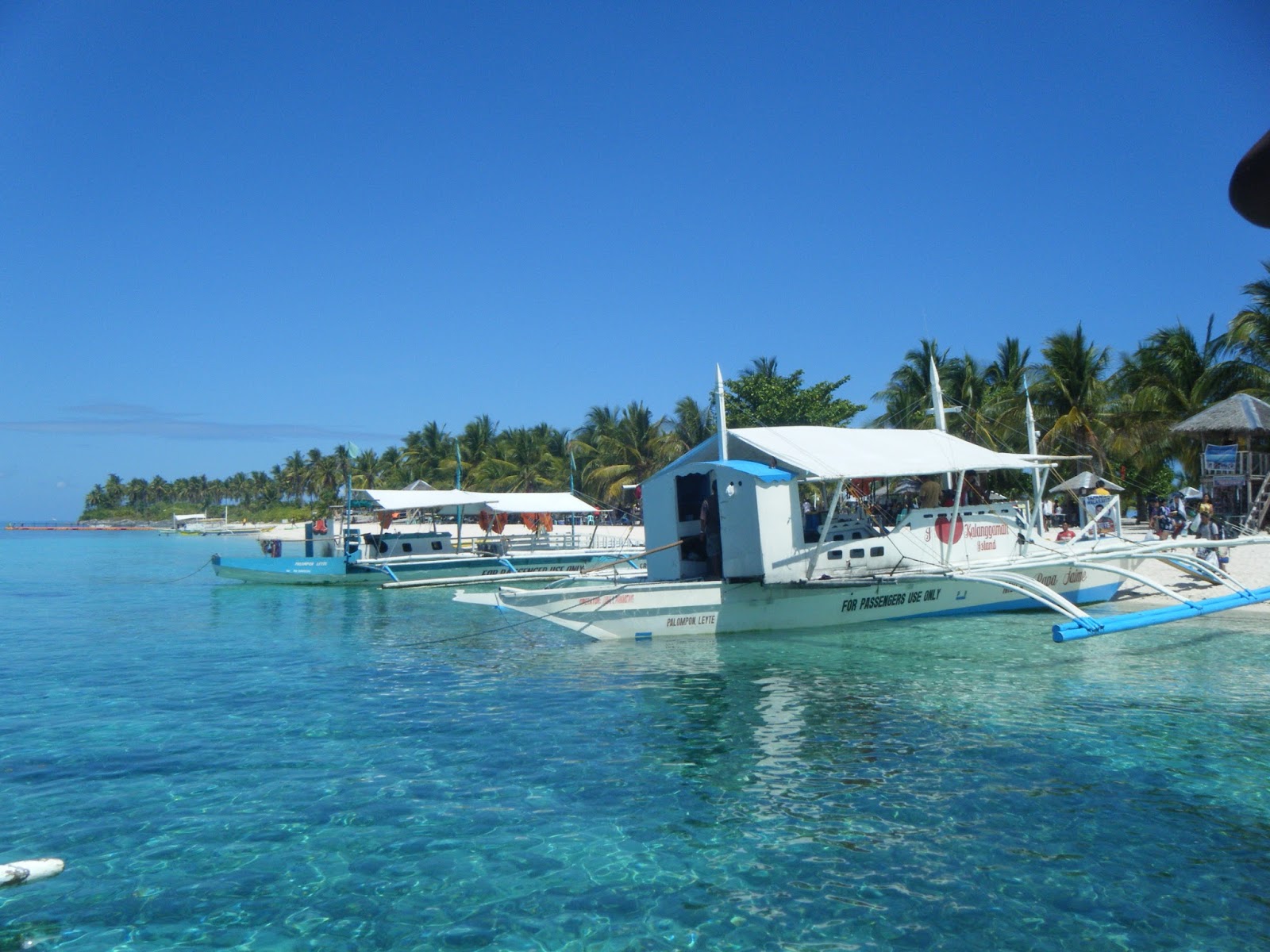 How to get to Kalanggaman Island in Palompon, Leyte via Ormoc, Leyte ...