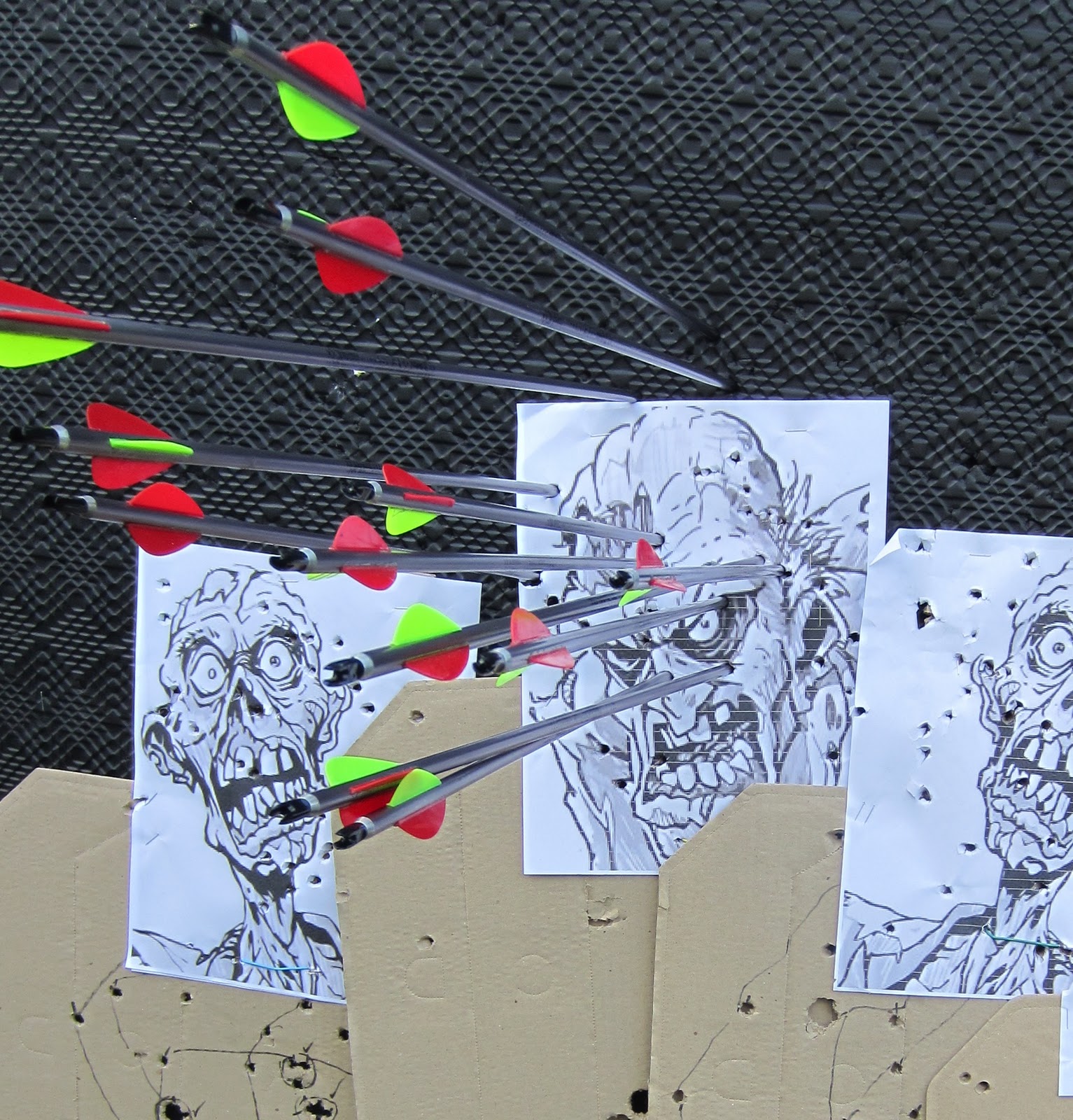 THE ZOMBIE HUNTER: A Survivalist's Journal: Headshot Training: SF ...