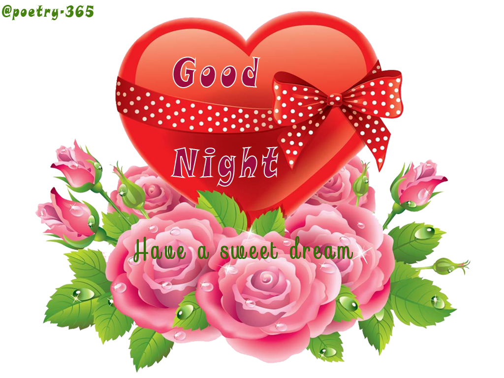 Wishes and Poetry: Cute Good Night Quotes with Frish Flowers for Friends