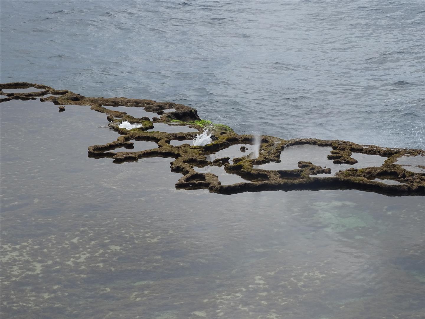 Little Lolly's Small Adventures: Nuku'alofa, Tongatapu, Tonga ...