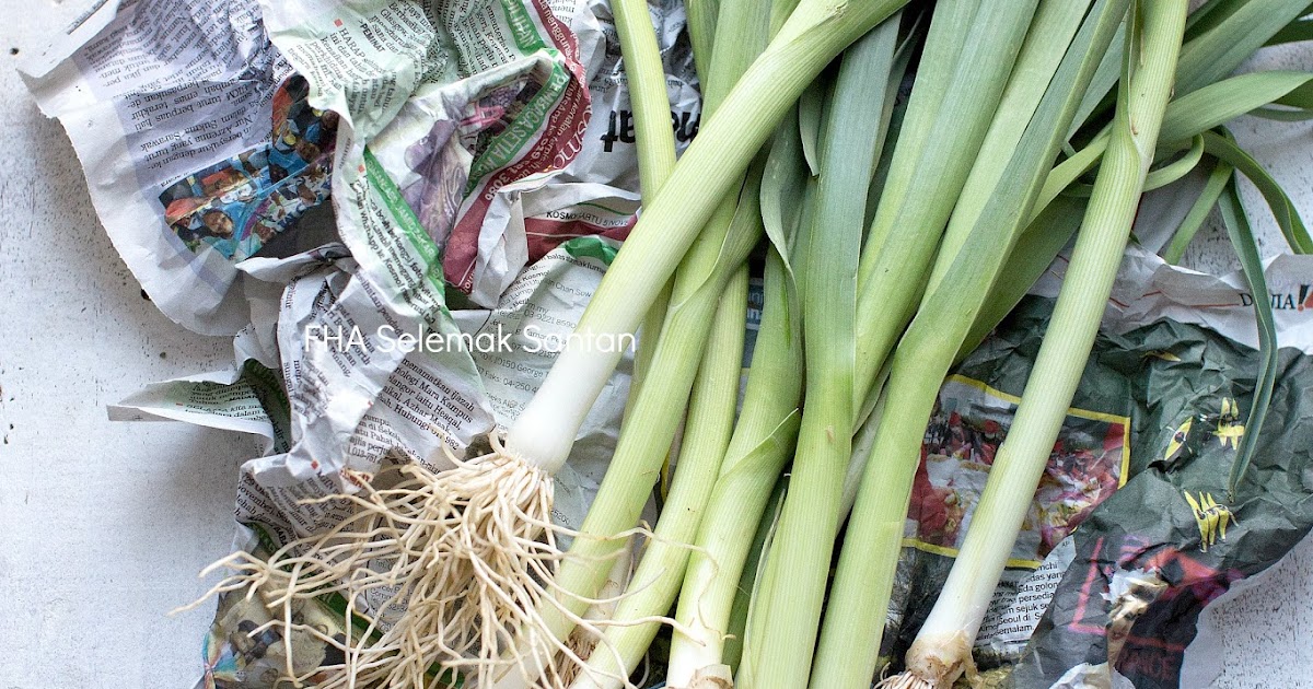 CHINESE LEEK ... Sudut Photography - FHA Selemak Santan