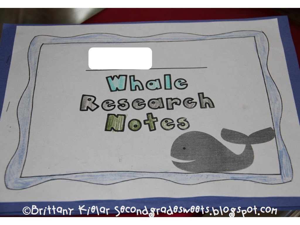 Sweet Seconds: Frames, Oceans, and Vertebrates