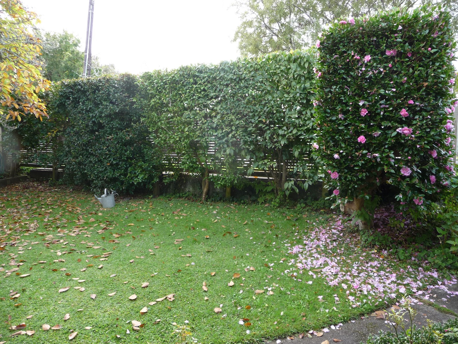 La Lumiere The Light La Luca: A Tapestry Hedge.