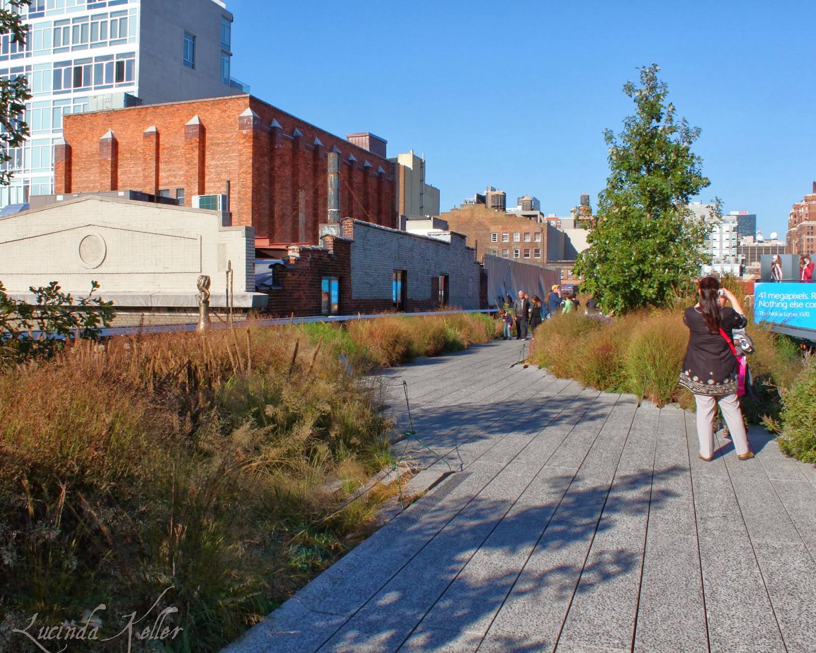 Cobalt Violet: 9/11 Memorial and The High Line