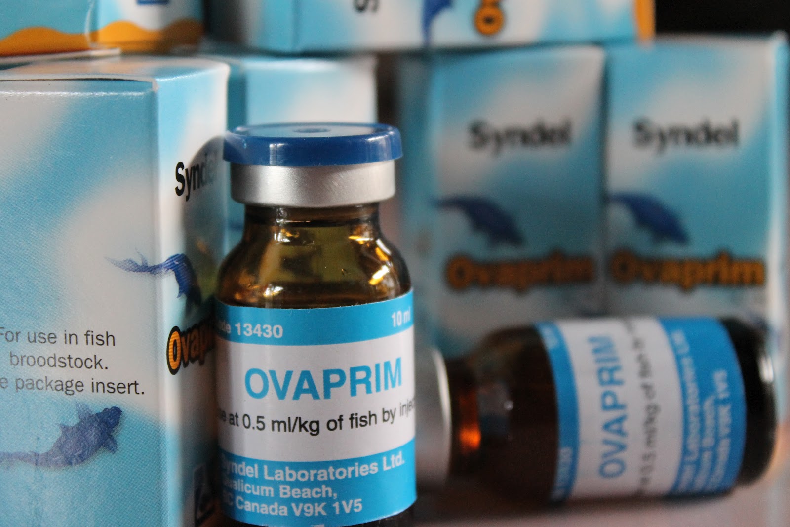 GRIYA BENIH IKAN SURAKARTA: Ovaprim