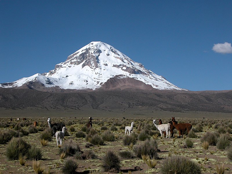 BOLIVIA... LO MEJOR QUE TENEMOS: PARQUE SAJAMA, PARAÍSO NATURAL CERCA ...