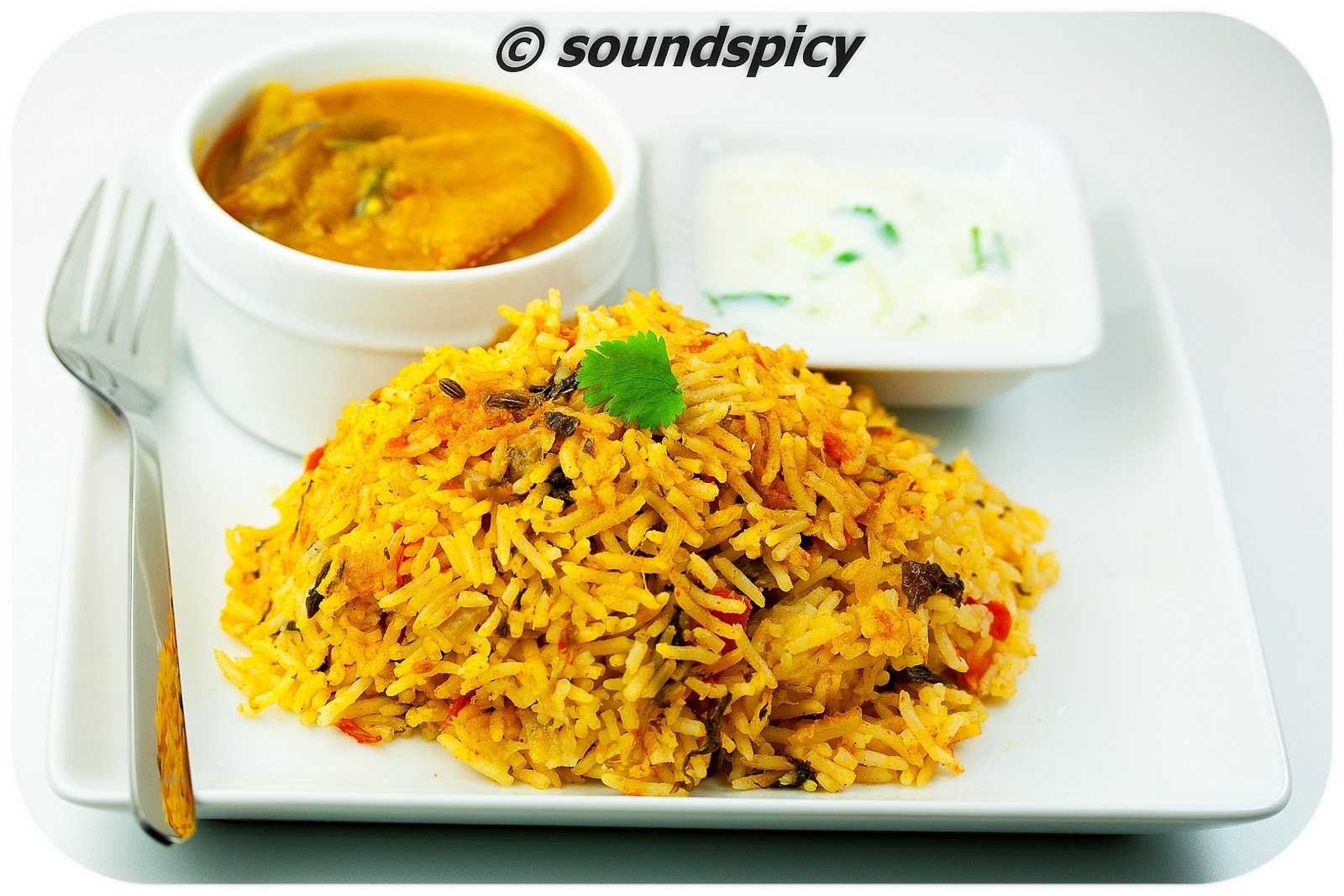Tomato Biryani and Veggie Dalcha | Sound'spicy
