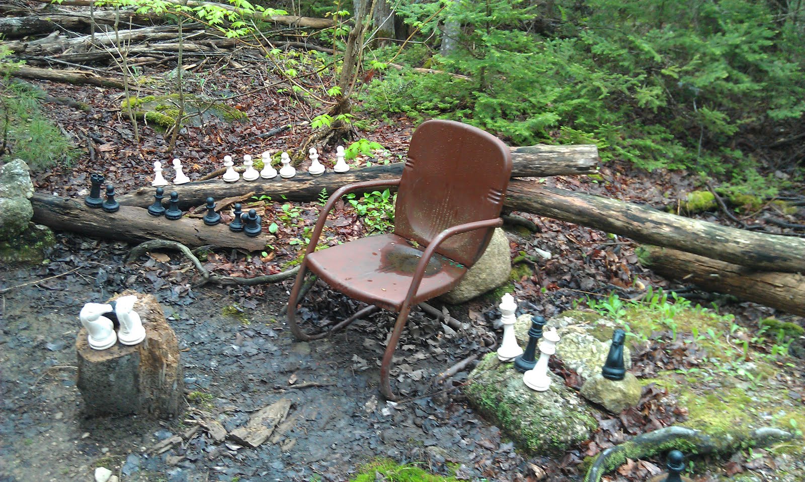 Jenny Goes Geocaching: Rock and Art