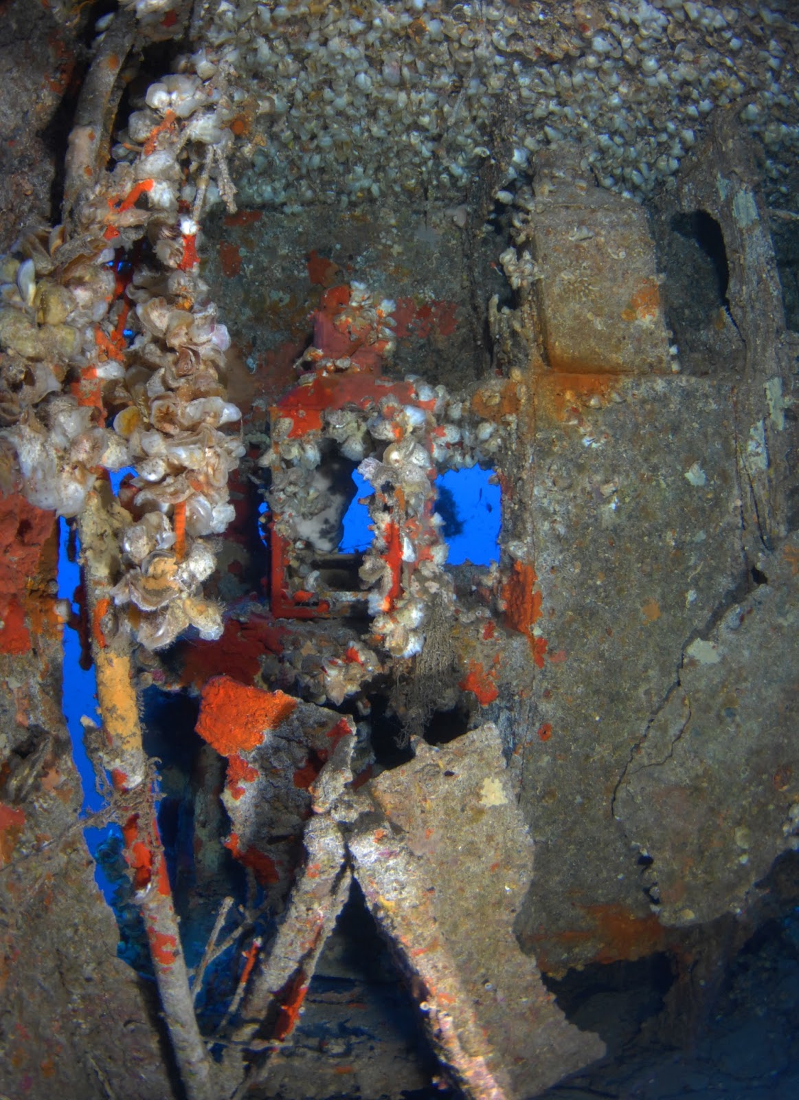 Burdigala: 100 years since the sinking of the second largest shipwreck ...