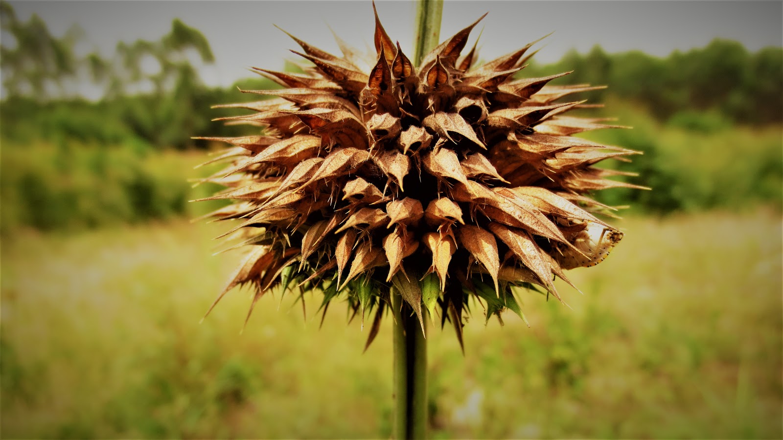 Welcome: Uganda - Fourth week