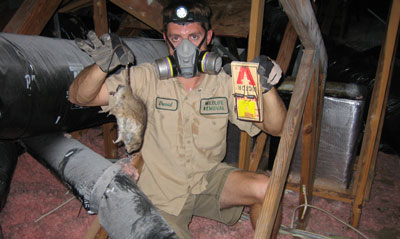 Do Pest Control Yourself