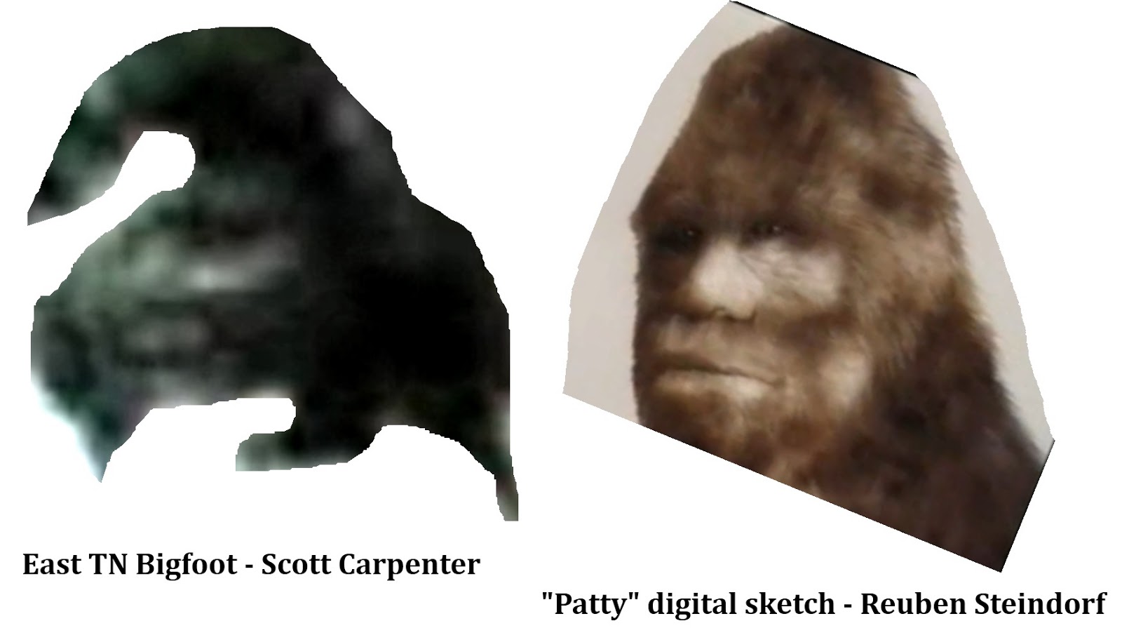 The Bigfoot Field Journal: The Human Side Of Bigfoot - Comparing the ...