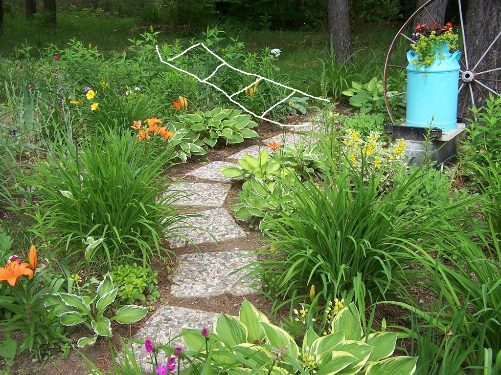 Perennial Passion: Out with the Mildewy Phlox--In with the Manhattan ...