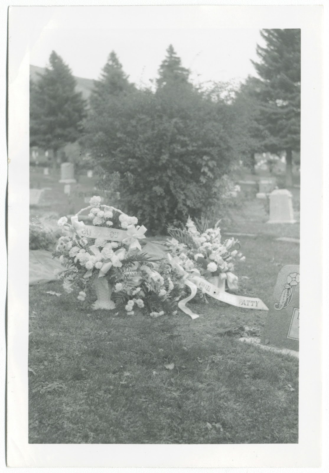 TheAncestorFiles: Patricia Lucille "Patty Lou" Wessman (March 13, 1957 ...