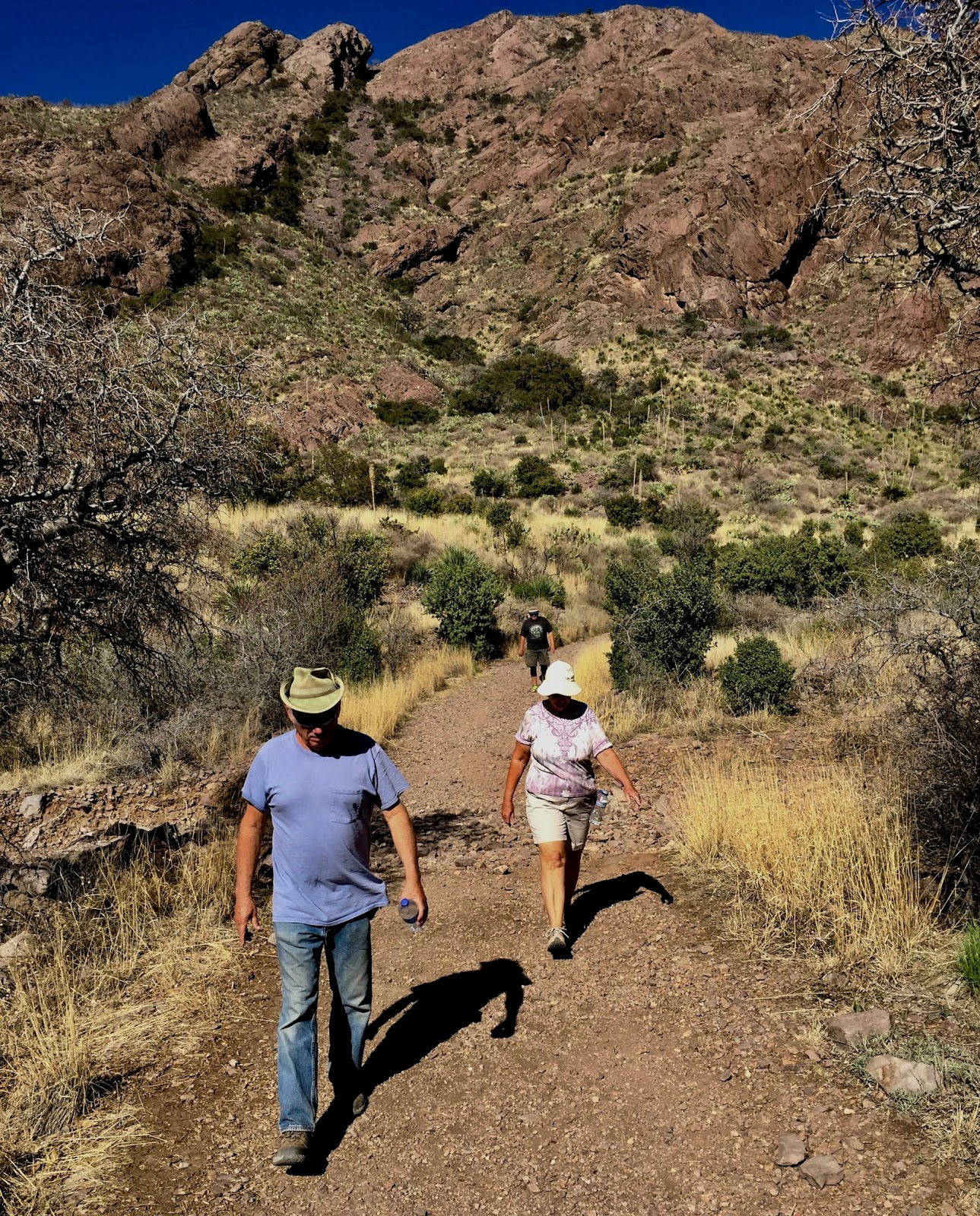 Wandering w/ Serenity: Dripping Springs Hike