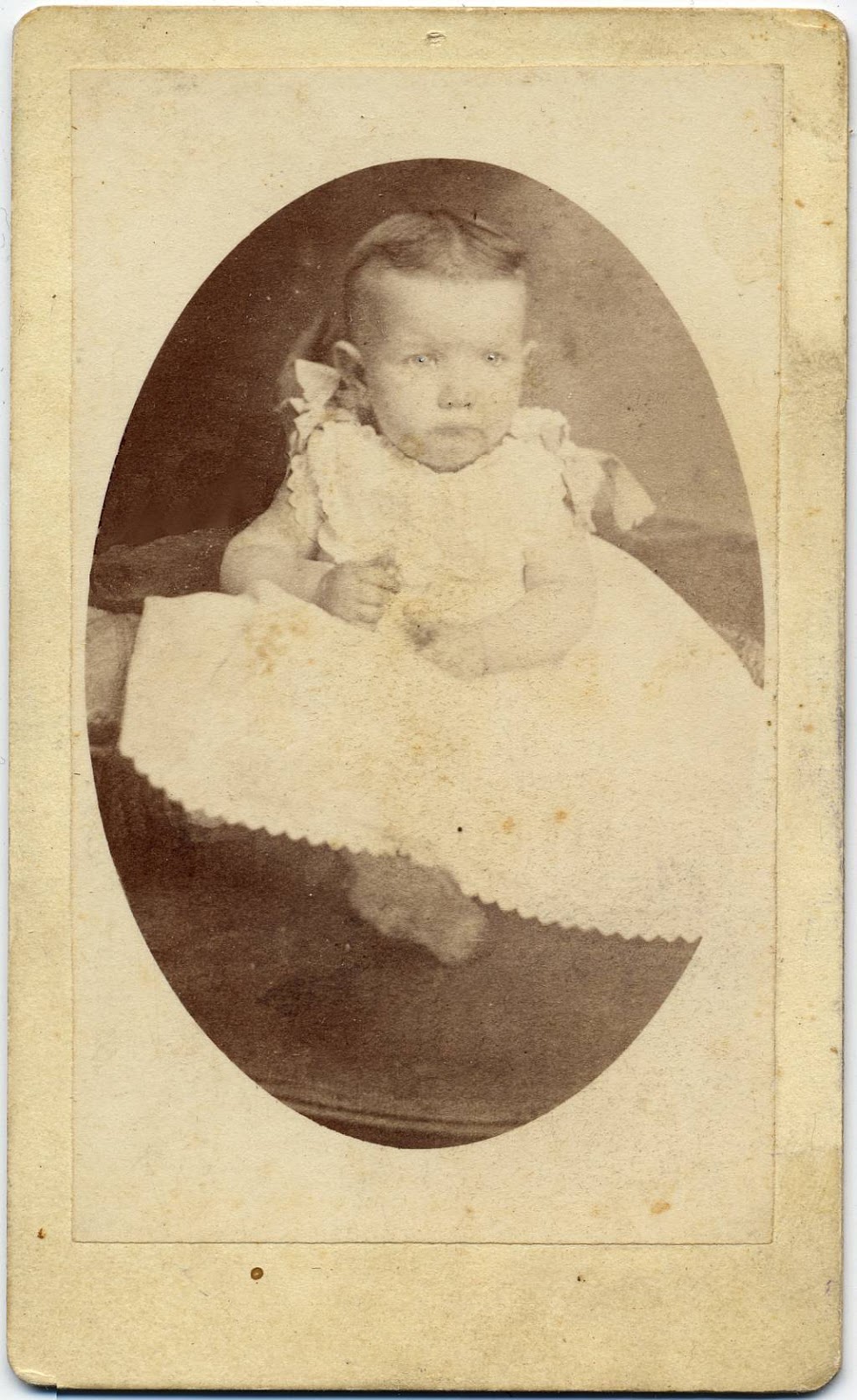 It's A "Melting Pot" - Family Tree