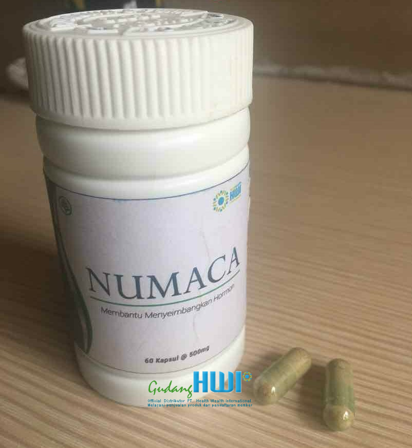 Numaca | Gudang HWI - Official Distributor HWI