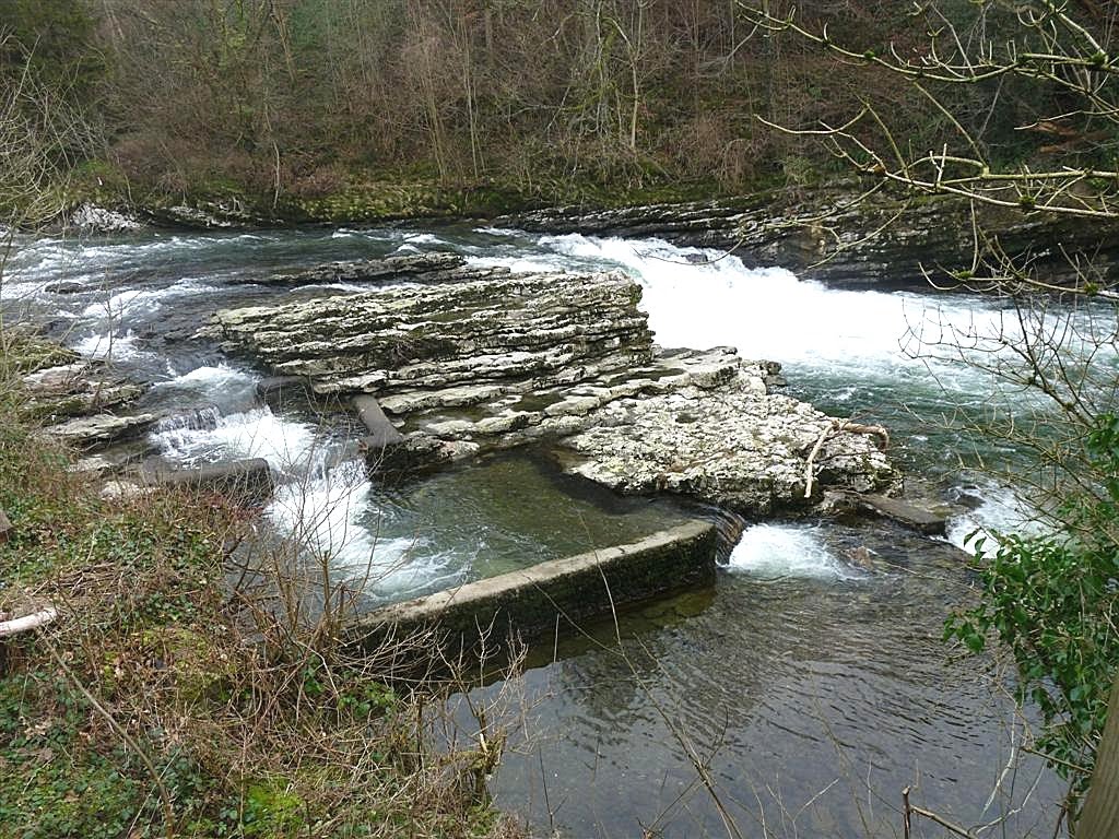 I Love Arnside and Silverdale: Force Falls Fish Pass Near Levens