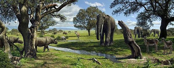 Our Vital Earth: Boxstone