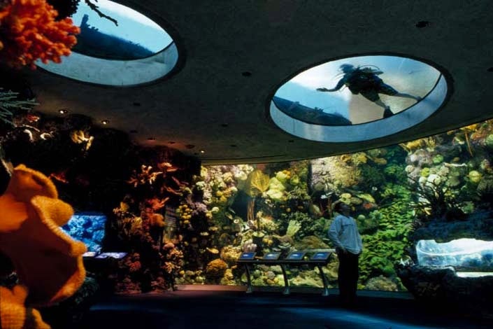 Shedd aquarium the most largest aquarium in Chicago - Beautiful ...