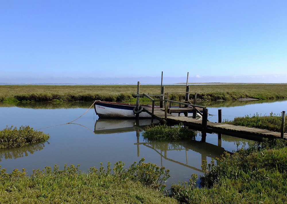 Norfolk 'N Good: Salt Marsh