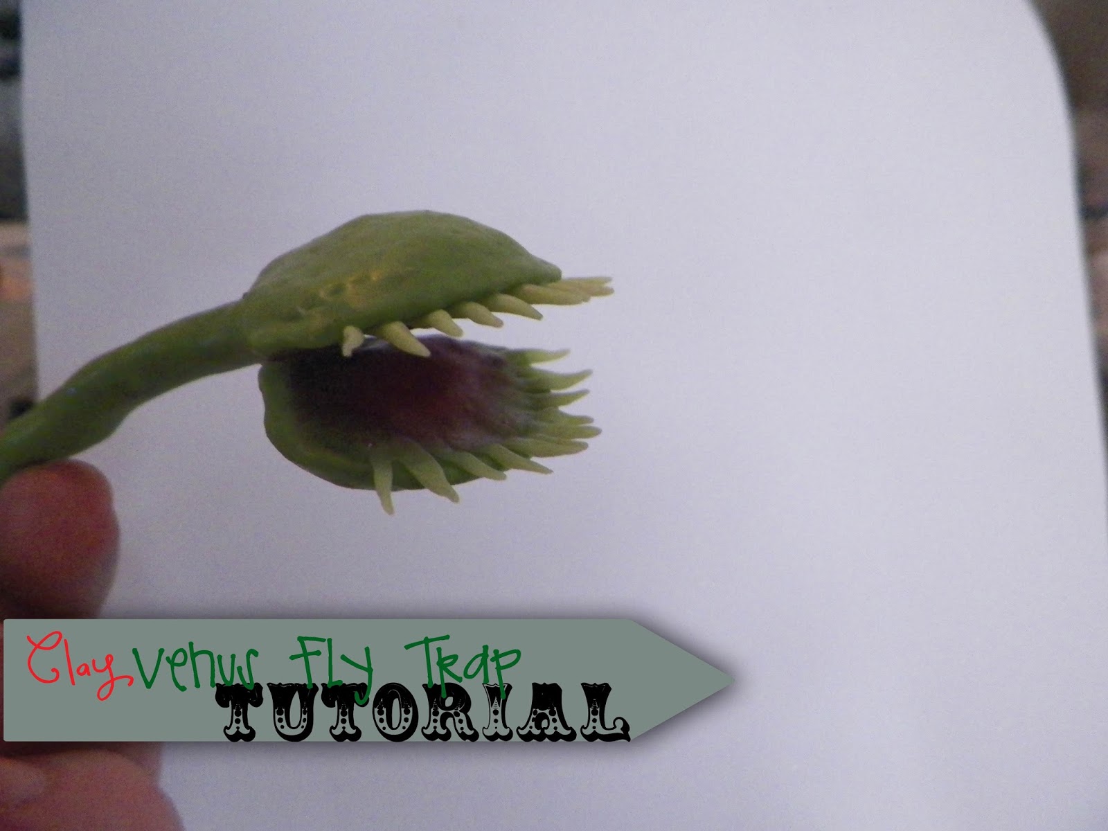 Cassie's Creative Crafts: Tutorial on How To Make A Venus FlyTrap Out ...