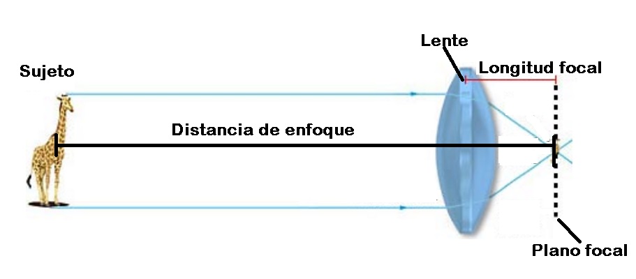 Fotografía para principiantes: Longitud Focal, distancia enfoque y ...