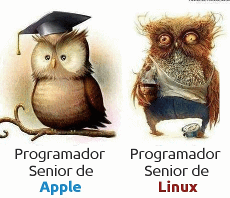 Humor con Software: Programador Senior