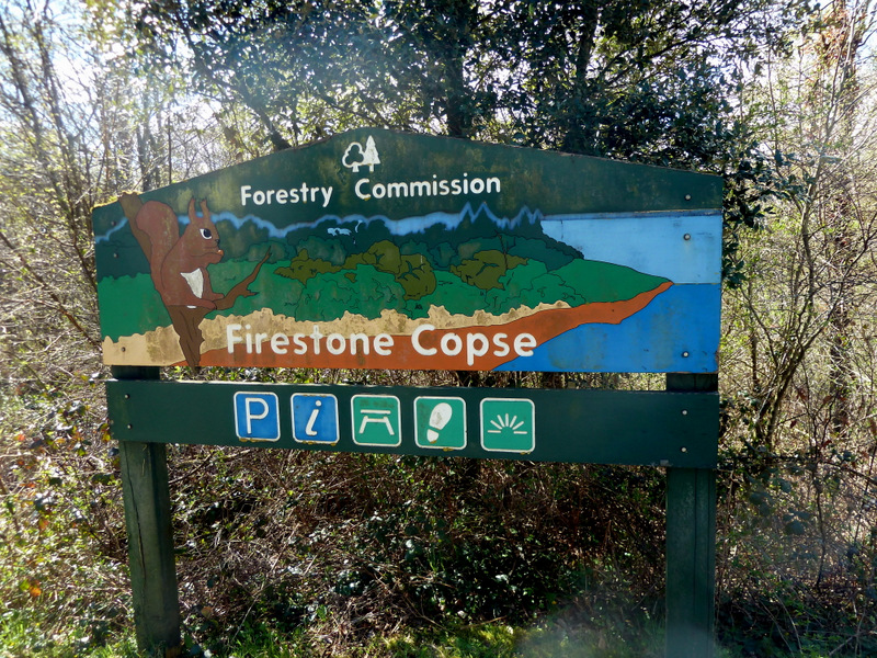 Lin's Isle of Wight Walking Blog: Walk 36 Firestone Copse