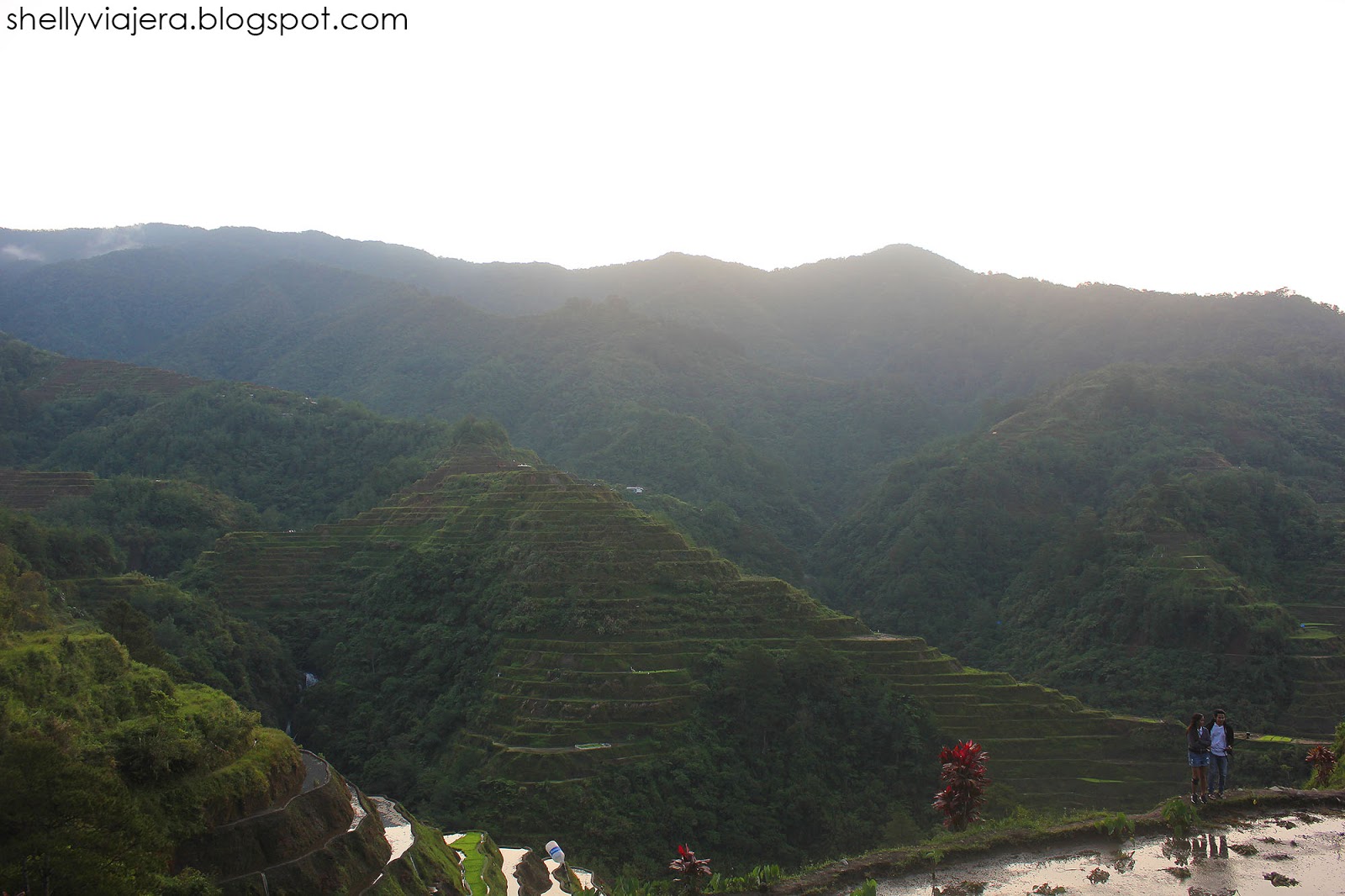 When in Ifugao: Banaue Rice Terraces - Shelly Viajera Travel