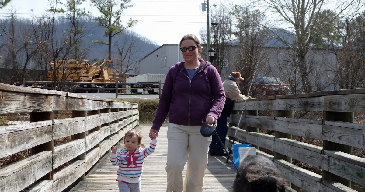 The Continuing Adventures of Eric, Noelle and Sierra: Erwin Linear ...